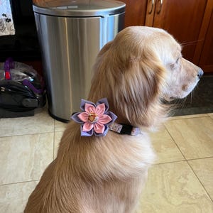 Keychain, Key Fob, Llama Keychain, Llama Key Fob, Animal Key Fob ...