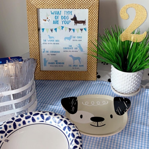 Bow Wow Large Plates Mixed Pack 8 Pack Bow Wow Party Supplies Puppy ...