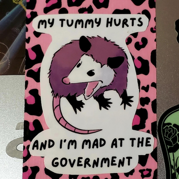 Little Miss Delulu Sticker, Funny Sticker, Funny Dog Sticker ...