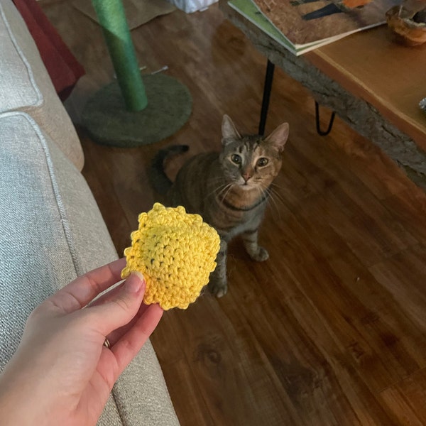Crochet Catnip Ravioli Toy, Pasta Cat Toy Enrichment - Etsy