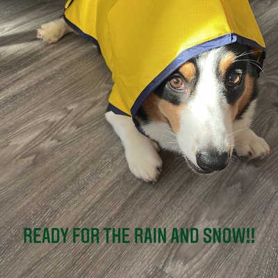 Corgi Rain Jacket - Etsy