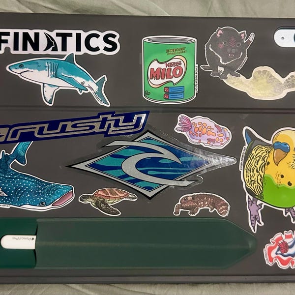 Carpet Python Vinyl Sticker - Etsy