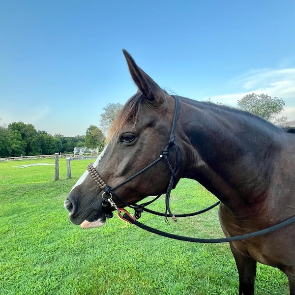 Soft Rope Halter/ Bitless Bridle With Woven Paracord Noseband ...