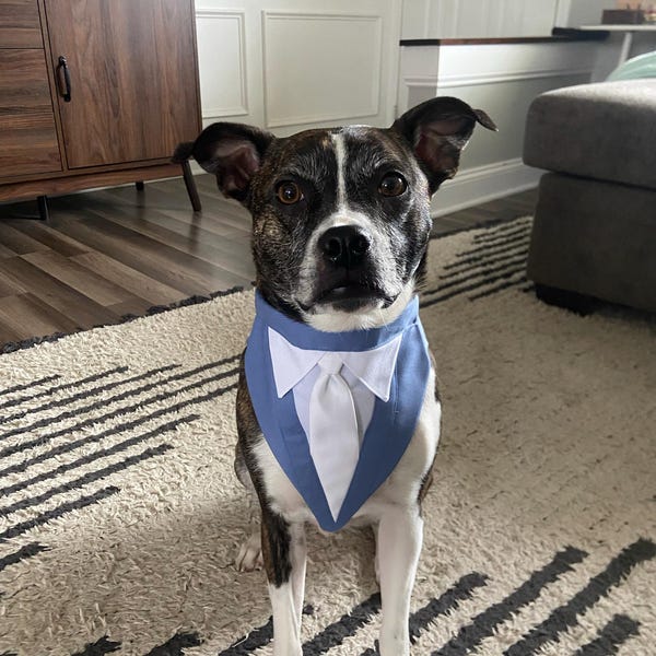 Blue Formal Dog Tuxedo, Dog Wedding Tuxedo , Dog Attire , Pet Clothing ...