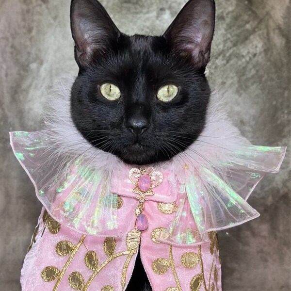 The Rubylola Reversible Cape Cat Costume, Dog Outfit, Gatsby Cape, Dog ...