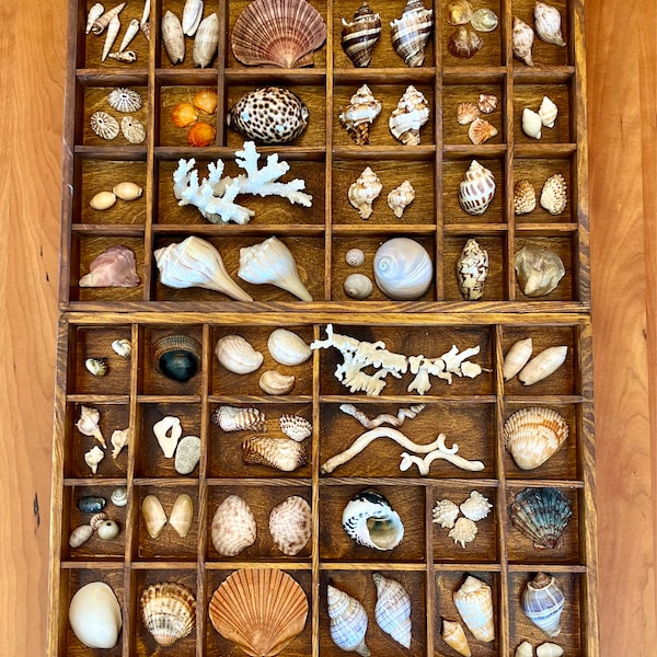 Unfinished Wooden Display With 28 Compartments Personalized | Shadow ...