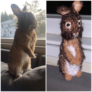 Custom Stuffed Dog Custom Crochet Dog Custom Dog Plush - Etsy