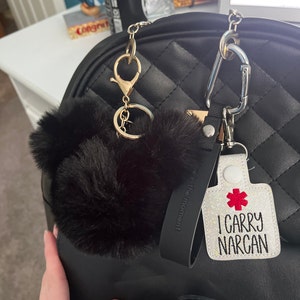 Jaq Jaq and Gus Gus Key Mickey Balloon/ Cinderella Transparent Laptop ...