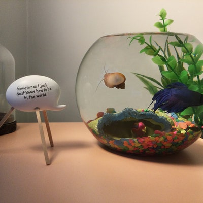 Super Snello 8oz, Aquatic Snail Food, Dehydrated, Snail Jello, Mystery ...