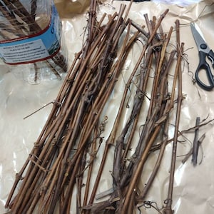 Tree Silhouette Handmade Lamp Shade - Etsy