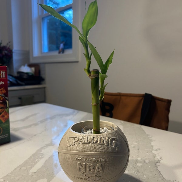 Spalding NBA Basketball | Planter Pot | Flower Vase | Interior Design ...