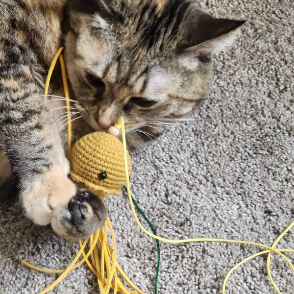 Dynamite Cat Catnip Toy, Handmade Cat Toy, Valerian Toy, Kitten ...