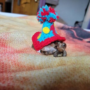 Birthday Hat Costume for Turtles/tortoises - Etsy