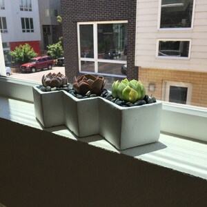 Live Succulent Arrangement in Artsy Zigzag Container, Succulent Planter ...