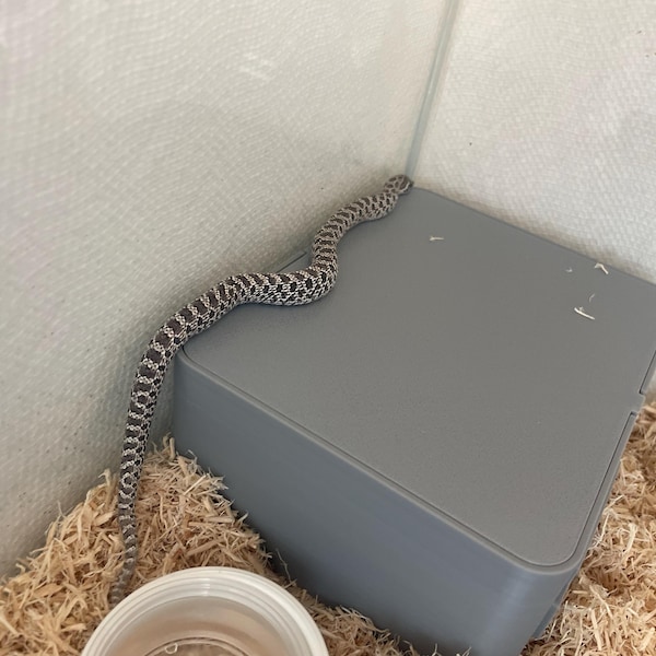 Reptile Humid Hide With Thermometer/hygrometer - Etsy
