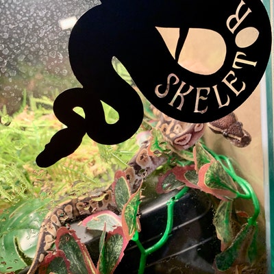 Customizable Name Ball Python Snake Vinyl Decal READ DESCRIPTION - Etsy