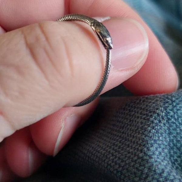 Tree Earrings, Forest Earrings, Pine Tree Studs, Tree Stud Earrings ...