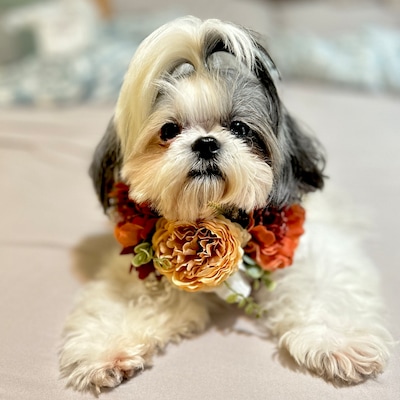 100% CUSTOM Pet Flower Collar, Flower Crown, Pet Wreath Faux Florals ...