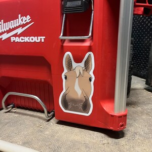 Fully Editable Horse Stall ID and Feeding Schedule Cards Canva Template ...