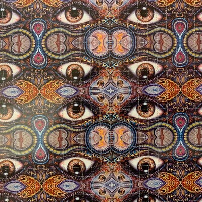 Melty Lisa 12x16 Inch Art Print by Morgan Mandala, Randal Roberts, and ...