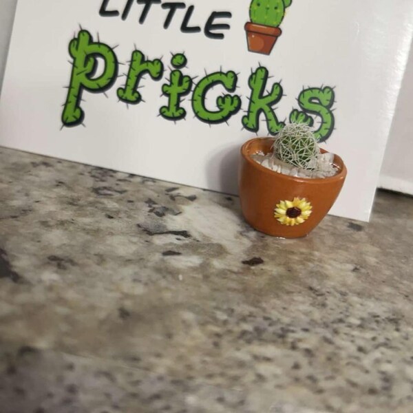 LITTLE PRICKS Miniature Cactus (light Brown) - DIY Cactus Kits, Hand ...