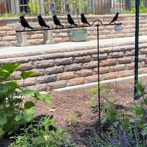 High Wire Bird Kinetic Balance - Etsy