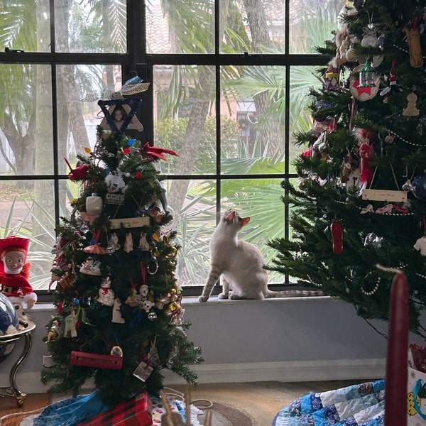 Star of David Tree Topper • Jewish Hanukkah Holiday Home Decor • 3D ...