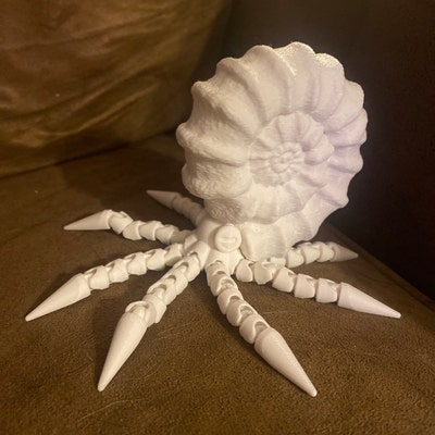 Ammonite Articulated Fidget Toy biology Science Paleontology - Etsy