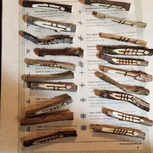 20 Celtic Tree Ogham Staves Made With Corresponding Woods With Pouch ...