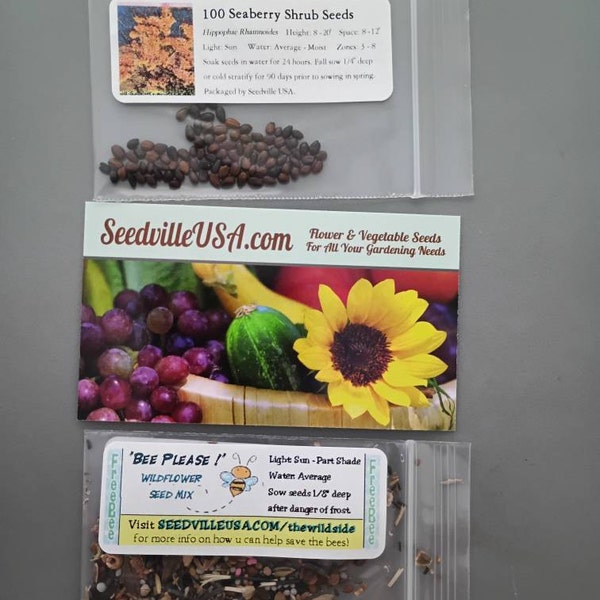 100 RED RASPBERRY Rubus Idaeus Fruit Bush Vine Seeds - Etsy