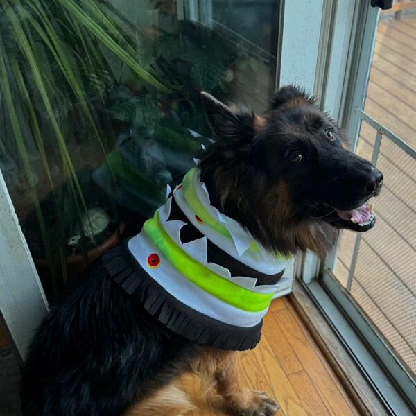 Sandworm Beetlegeuse Beetlejuice Inspired Embroidered Dog Costume Scarf ...