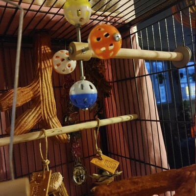 Perch Toy With Rotating Balls for Budgies Budgerigars - Etsy