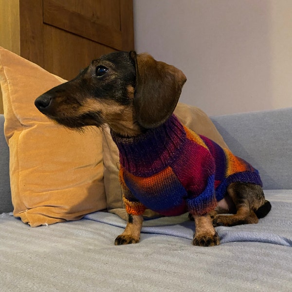 Dachshund Sweater - All Breeds - Wool - Dog Clothing - Dog Sweater ...