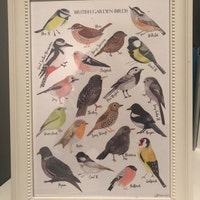 British Birds Print - Watercolour Art Print - British Nature Print ...