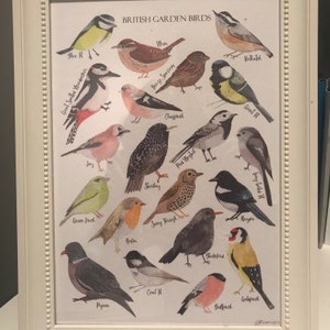 British Birds Print Watercolour Art Print British Nature Print Bird ...