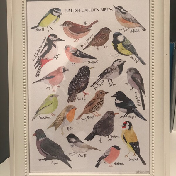 British Birds Print - Watercolour Art Print - British Nature Print ...