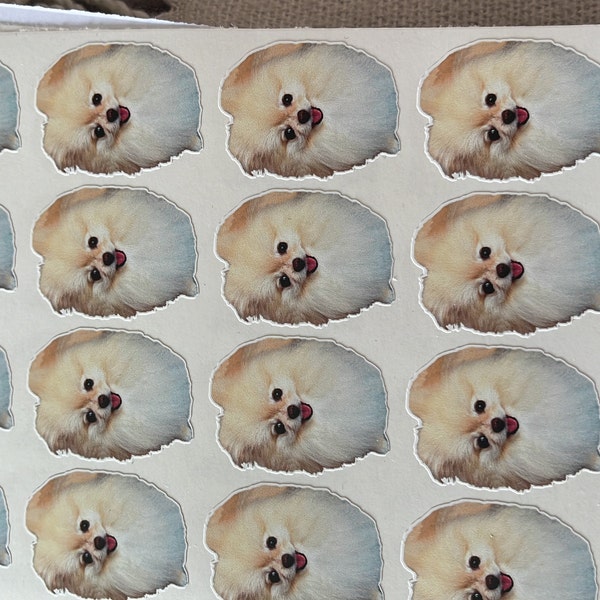 Personalised Custom Vinyl Face Stickers, Makes A Unique Personalised ...