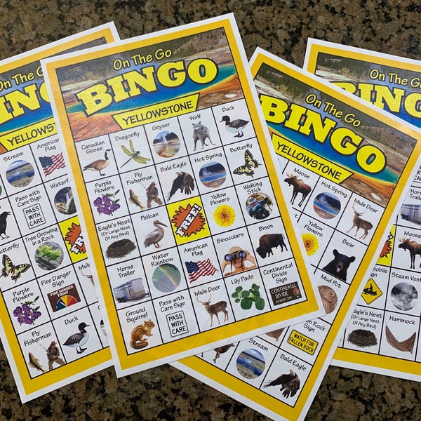 US State Vanity License Plate Bingo Board - 4 Unique Boards - Instant ...
