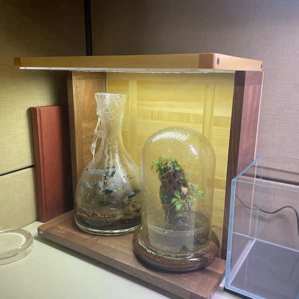 SEOUL: Designer Platform for Aquarium / Terrarium - Etsy