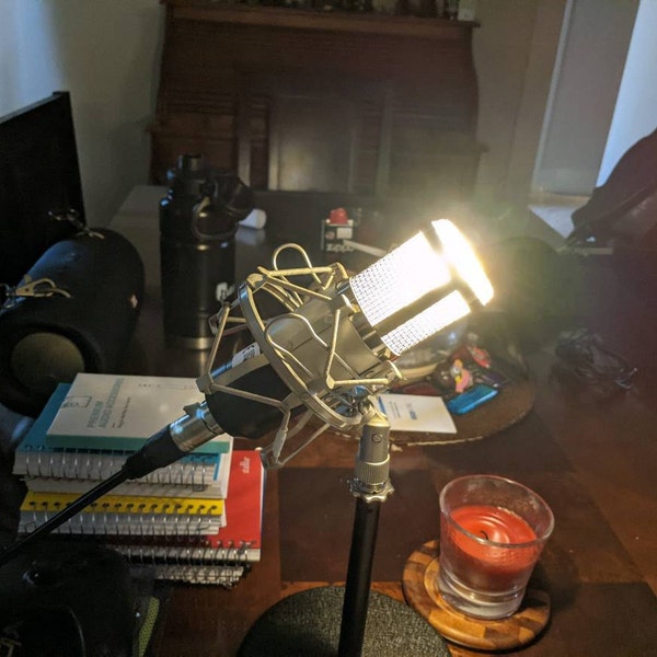 Hanging Retro Microphone Lamp - Silver / Vintage / Shure / Boxing / Man ...