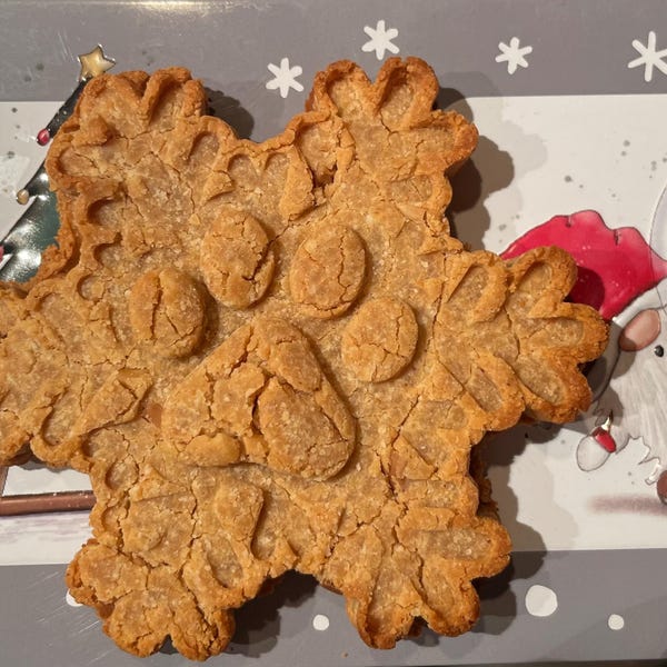 Eyeball Cookie Cutter - Front View Eye, Anatomical - Human Body Cookie ...