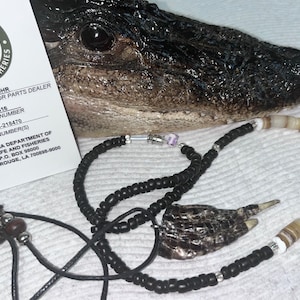ALLIGATOR BONE DUST Voodoo, Hoodoo, Wicca, Gothic, Oddity - Etsy