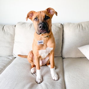 Black Calligraphy Personalized Dog Tag, Custom Dog Tag, Double Sided ...