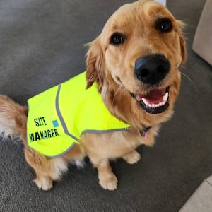 Personalised High Vis Dog Coat Custom Printed Hi Viz Pet Safety Vest ...