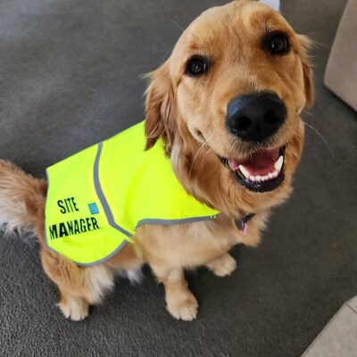 Personalised High Vis Dog Coat Custom Printed Hi Viz Pet Safety Vest ...