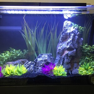 5 Lb Sand Aquarium Decor Aquascape Fish Tank Shrimp | Etsy