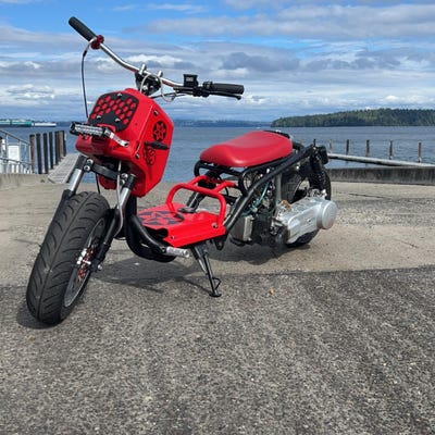 Honda Ruckus Decal / Rr Decal / Maddog Decal /custom Vinyl Decal ...