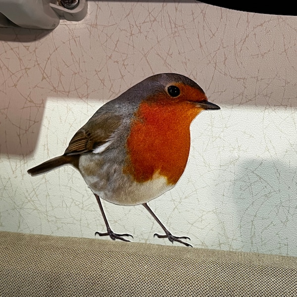 Country Range Robin Wall Decal Sticker Porch Hallway Entrance Bird ...