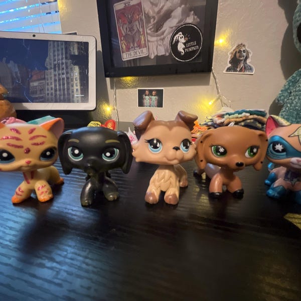 Authentic LPS 26 Pc Play Set 3 Pets (1 Random CAT or DOG and 2 Other ...