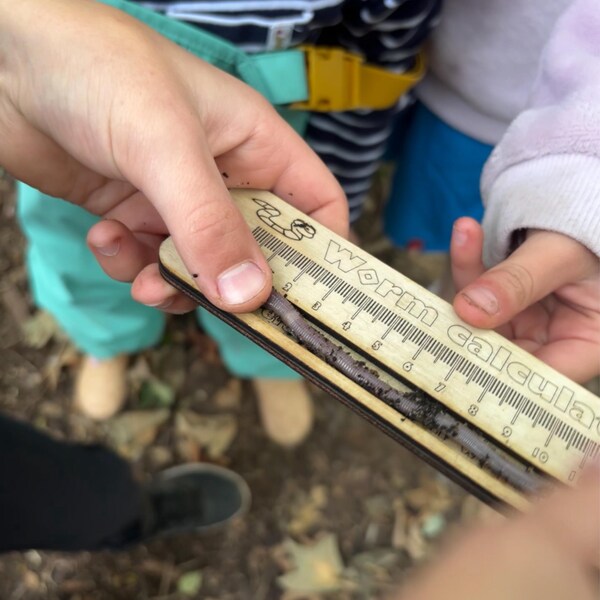 Portable Insect Bug Box Collection Box Parent-child Outdoor Forest ...